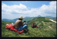 Pamperis – The butterflies of Greece